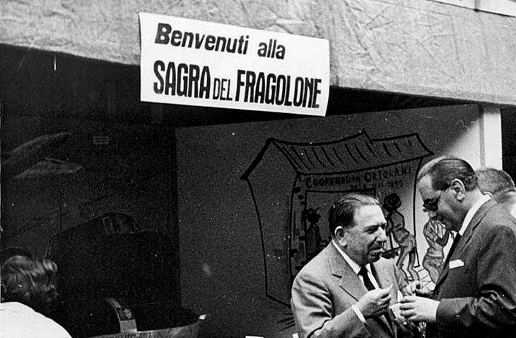 Il fragolone di Imola: ascesa, boom e declino della coltivazione di ...